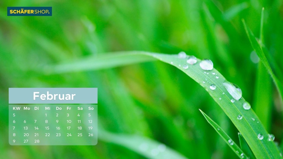 Desktopkalender kostenlos downloaden | Schäfer Shop
