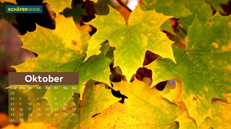 Desktopkalender kostenlos downloaden | Schäfer Shop