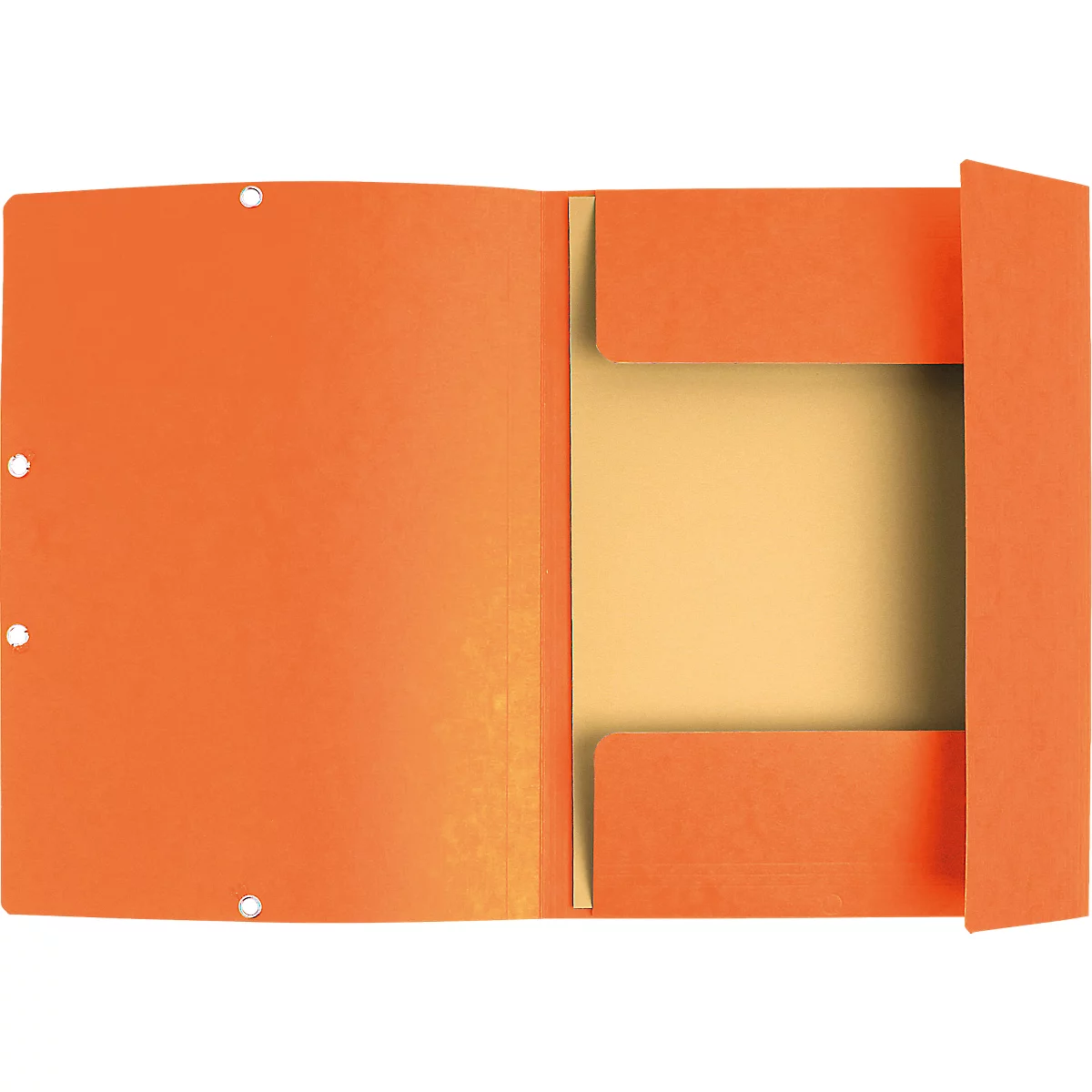 Exacompta map, DIN A4, met elastiek, 3 kleppen, te labelen, Colorspan ...
